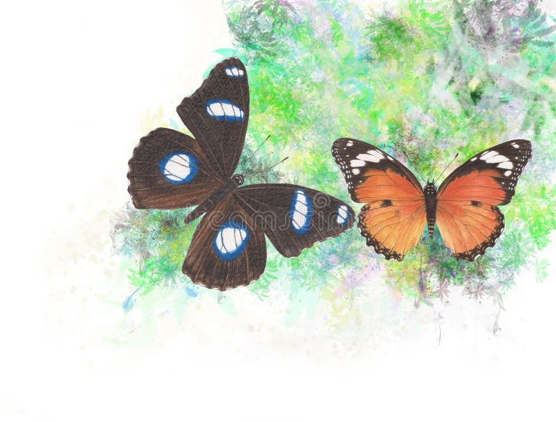 Butterfly graphic stock illustration. Illustration of painting - 32930369