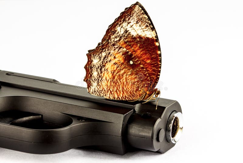 Butterfly and Gun stock photo. Image of isolated, monarch - 27510030