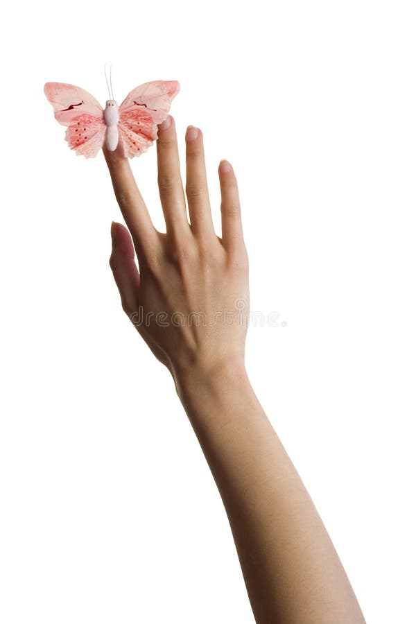 Butterfly and hand stock image. Image of pretty, white - 4679145
