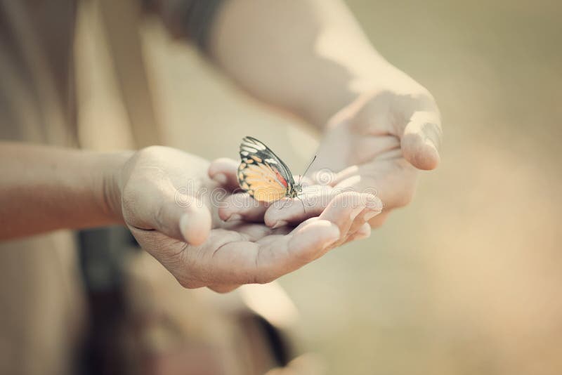Butterfly in hand stock image. Image of friends, friendly - 69845327