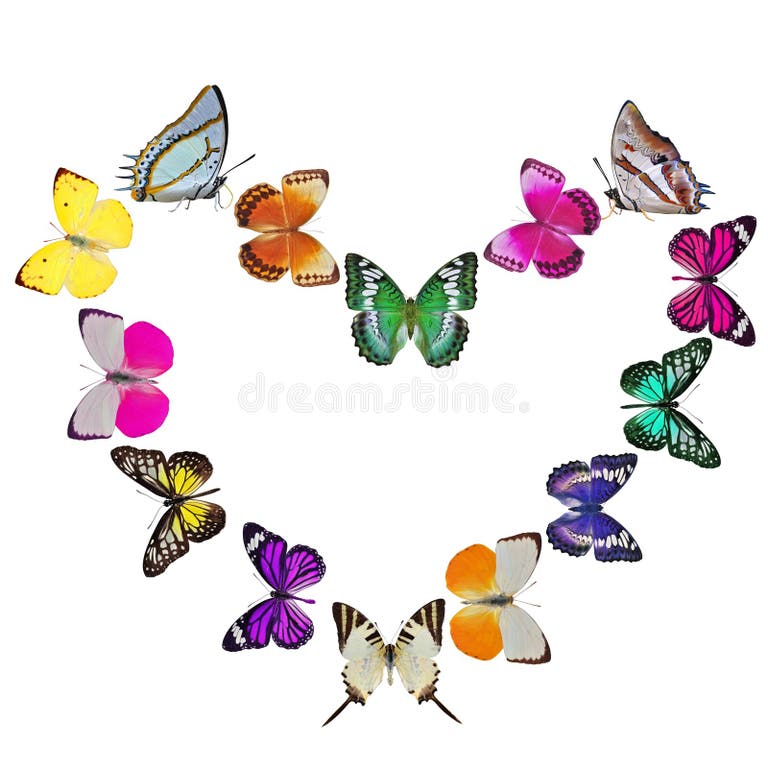 Butterfly Fly Heart Stock Illustrations – 2,773 Butterfly Fly Heart ...