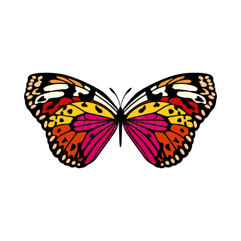 Butterfly Icon stock vector. Illustration of butterfly - 152722087