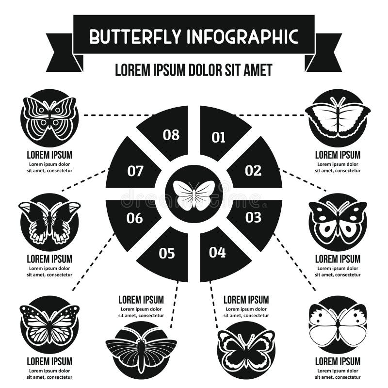 Butterfly Infographic Template for Four Steps Stock Illustration ...