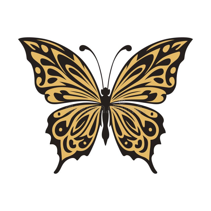 Butterfly with Intricate Black and Gold Patterns Stock Vector ...