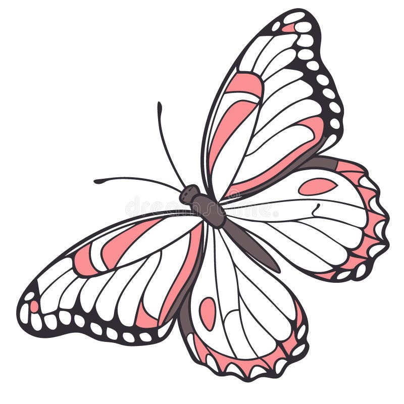 Transparent Background Generative Ai Stock Illustrations – 137,708 ...