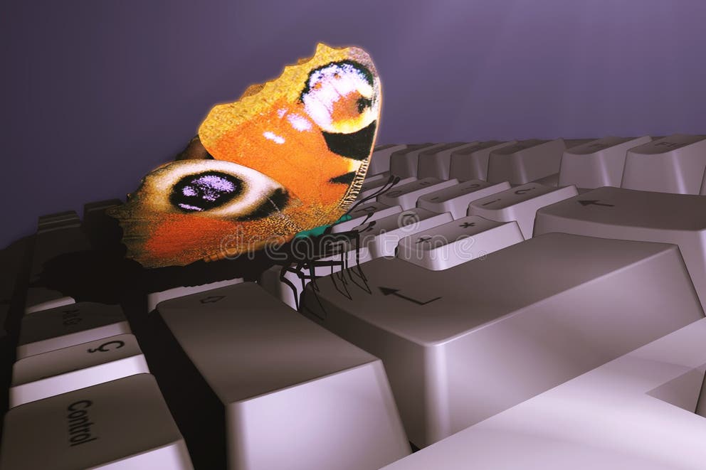 Butterfly on keyboard stock illustration. Illustration of enter - 5040633