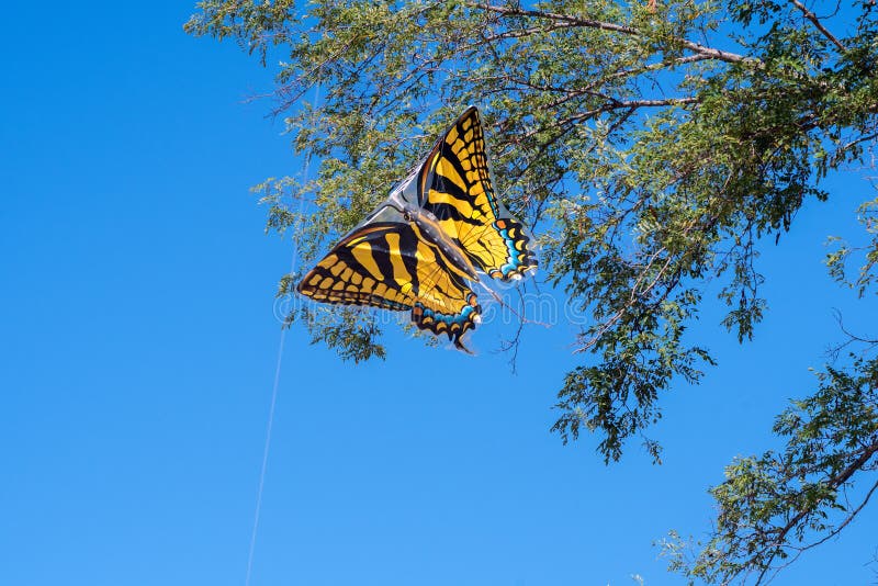 Kite stuck in a tree stock photo. Image of outdoor, bright - 30686994