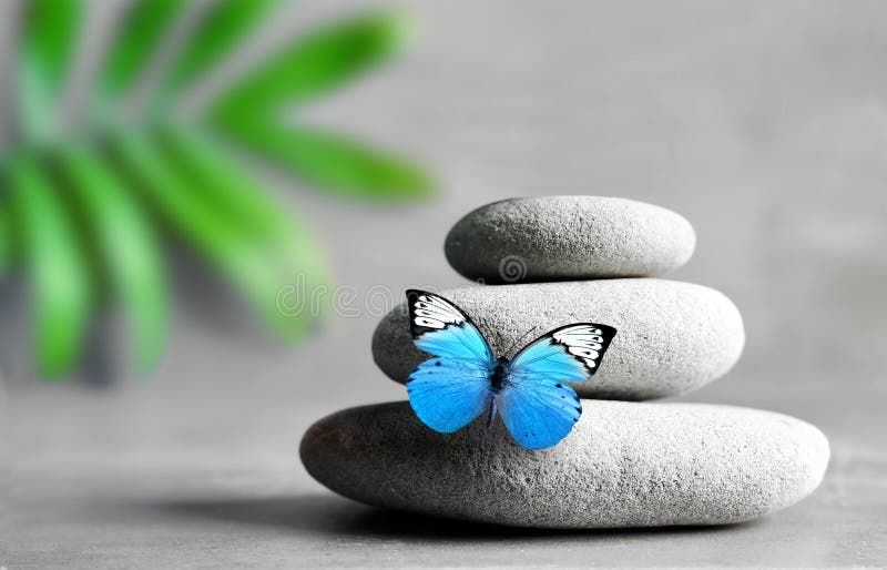 Butterfly, Light and Balanced Stones. Palm Leaf. Zen and Spa Concept ...
