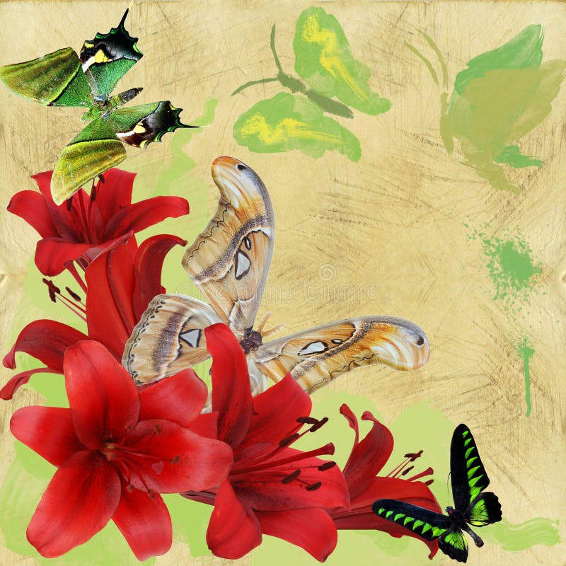 189 Fading Butterfly Stock Photos - Free & Royalty-Free Stock Photos ...