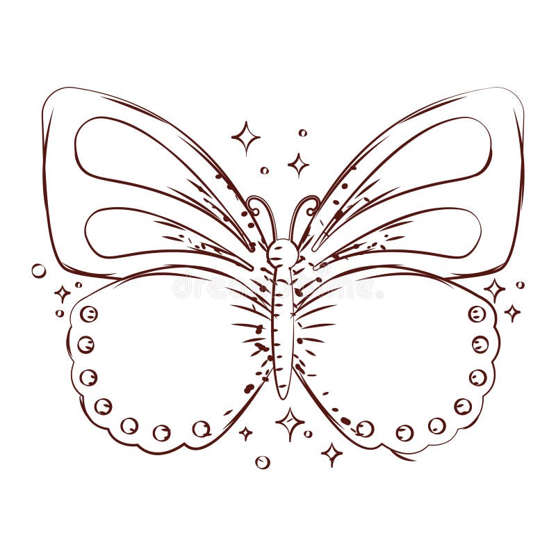 Butterfly Line Art Style. Vector Stock Vector - Illustration of ...