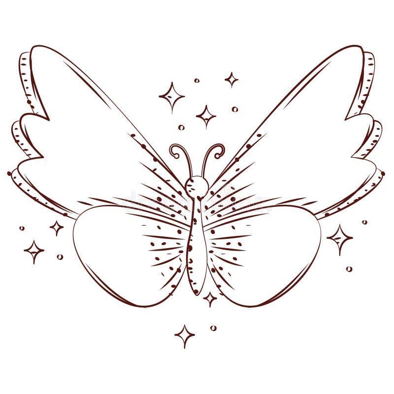 Butterfly Line Art Style. Vector Stock Vector - Illustration of wings ...