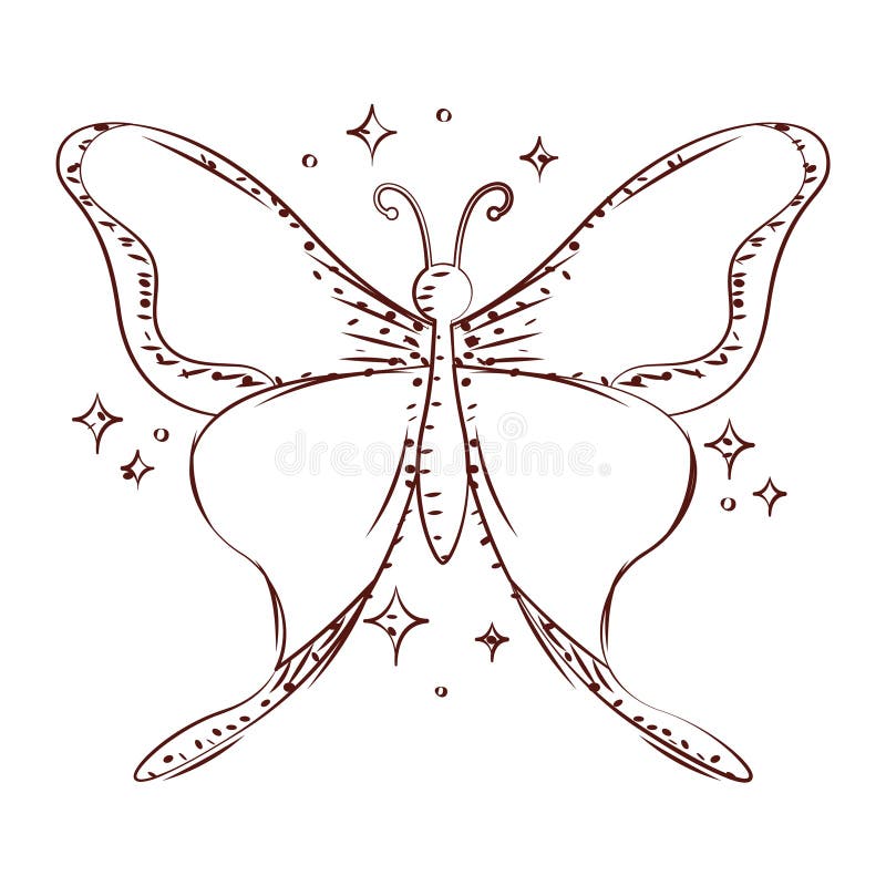 Butterfly Line Art Stock Illustrations – 51,517 Butterfly Line Art ...