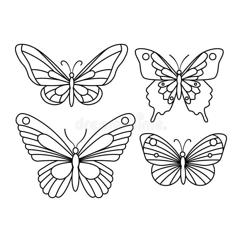 Butterfly Line Art, Vector Illustration Stock Vector - Illustration of ...