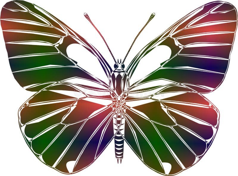 Butterfly with Line Pattern Stock Illustration - Illustration of design ...