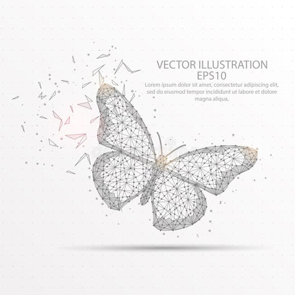 Butterfly Mesh Stock Illustrations – 1,320 Butterfly Mesh Stock ...
