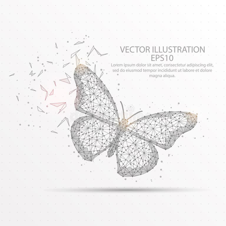 Butterfly Poly Stock Illustrations – 1,274 Butterfly Poly Stock ...