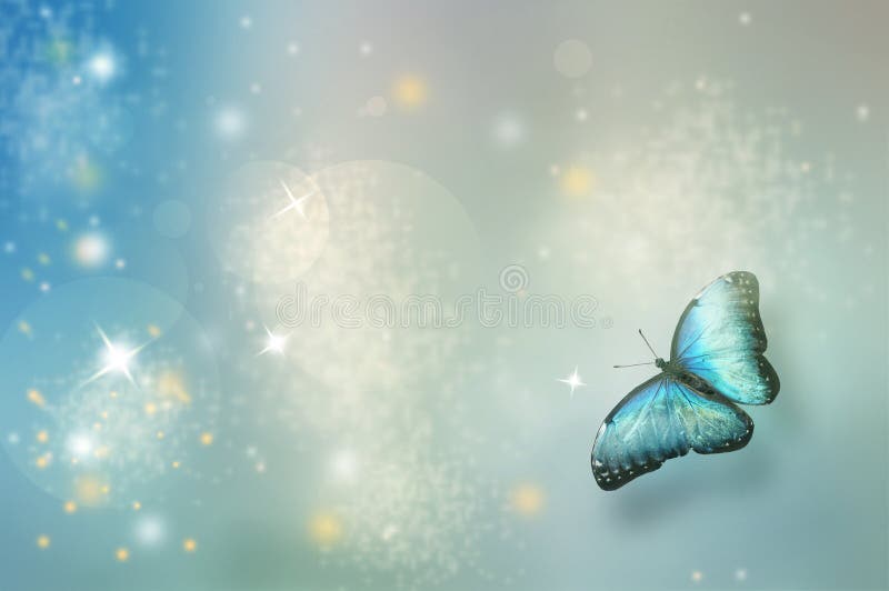 Butterfly in magic sky stock image. Image of card, magic - 211933325