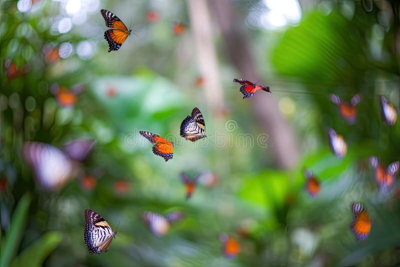 Butterfly Migration in Motion, with Fluttering Wings and Blurred ...