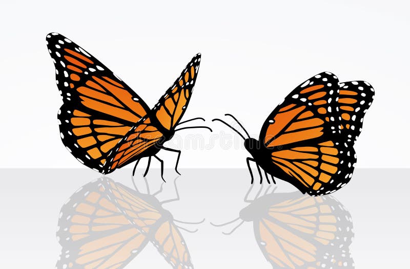 Monarch Butterfly Side View Stock Illustrations – 174 Monarch Butterfly ...