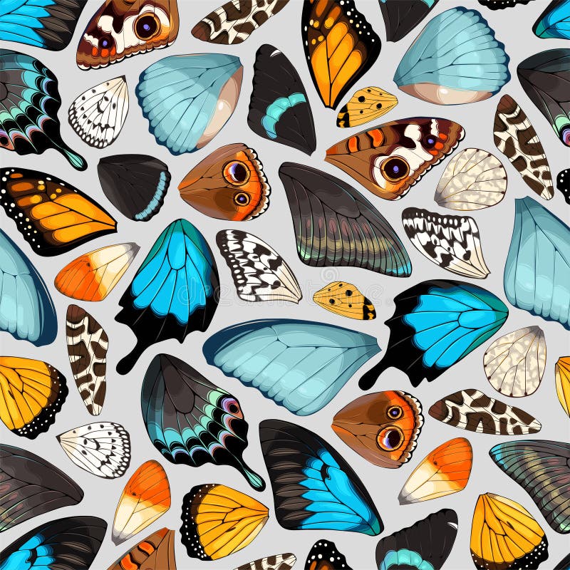 Butterfly and Moth Wings Vector Seamless Pattern Stock Vector ...
