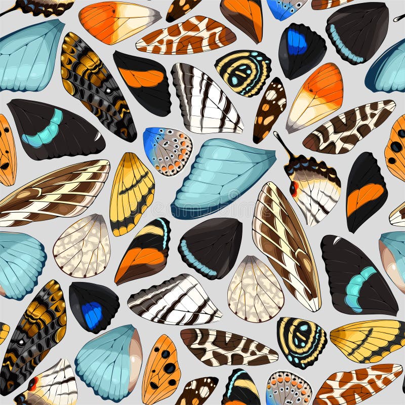 Butterfly and Moth Wings Vector Seamless Pattern Stock Vector ...