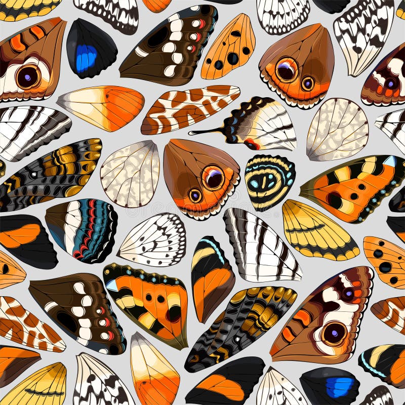 Butterfly and Moth Wings Vector Seamless Pattern Stock Vector ...