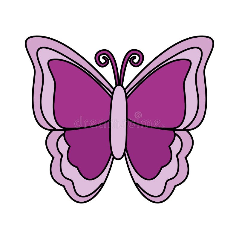 Butterfly nature insect stock vector. Illustration of insect - 144733215