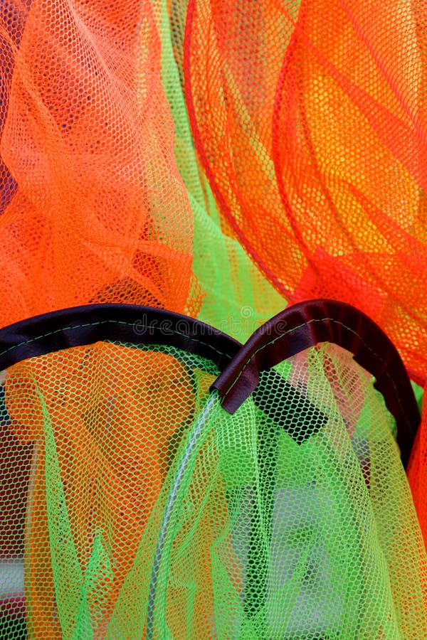 Butterfly Net stock image. Image of play, blue, multicolor - 55248829