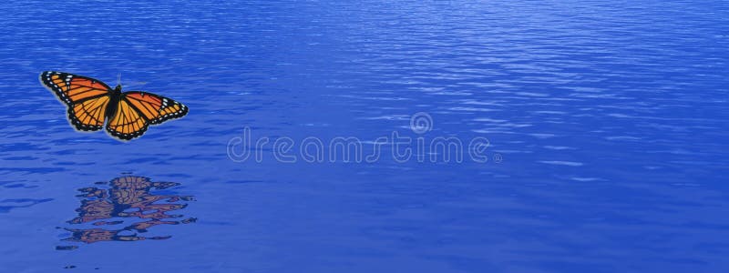 Butterfly over the ocean stock illustration. Illustration of vacation ...