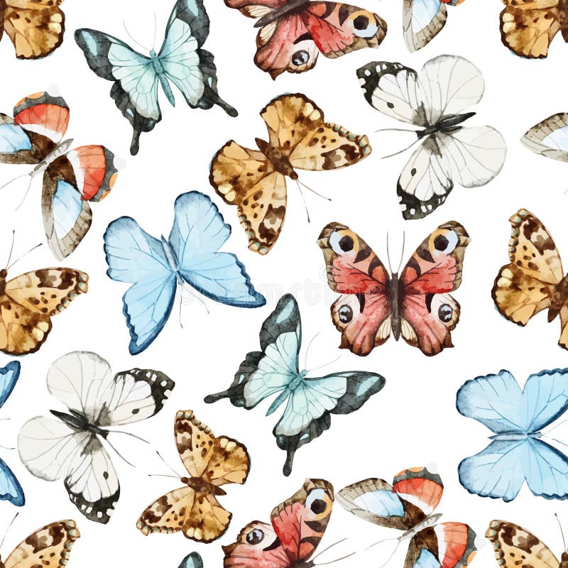 Butterfly pattern stock vector. Illustration of popular - 50076016