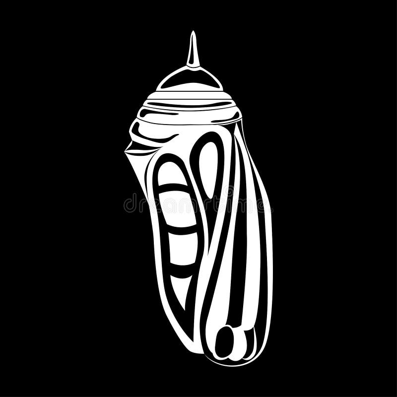 Butterfly Pupa. Vector Illustration Stock Vector - Illustration of ...