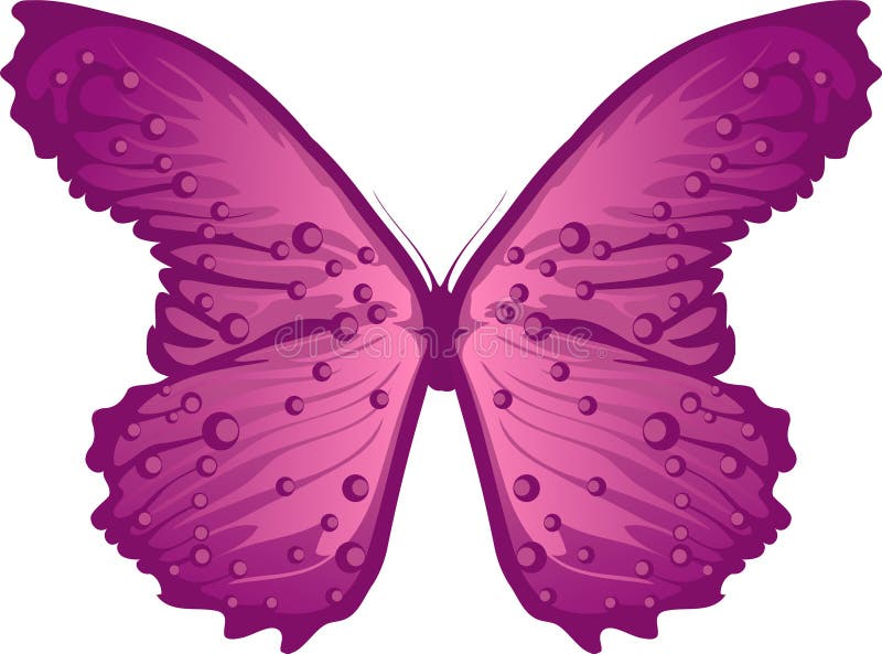 Butterfly Purple stock vector. Illustration of purple - 6845119