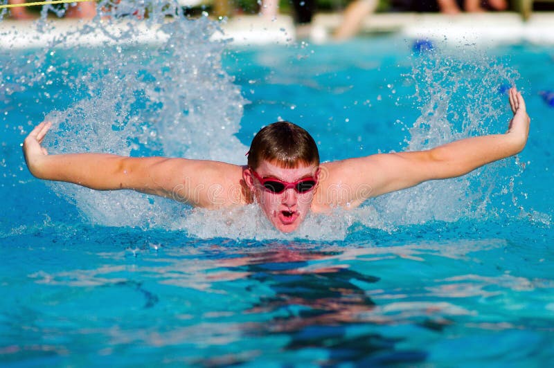 Butterfly Race stock photo. Image of action, exercise - 21336838