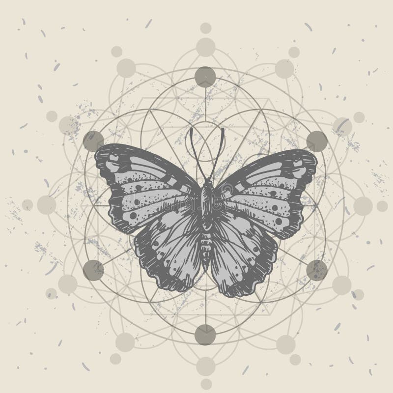 Geometry Butterflies Stock Illustrations – 607 Geometry Butterflies ...