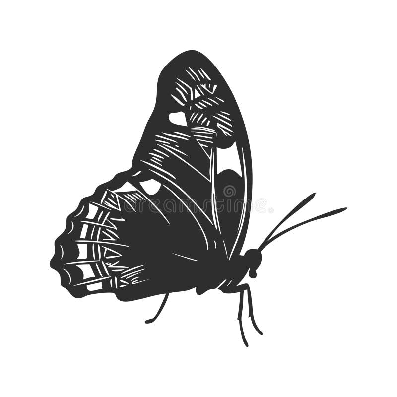 Butterfly Side View Silhouette Illustration. Symbol of Transformation ...