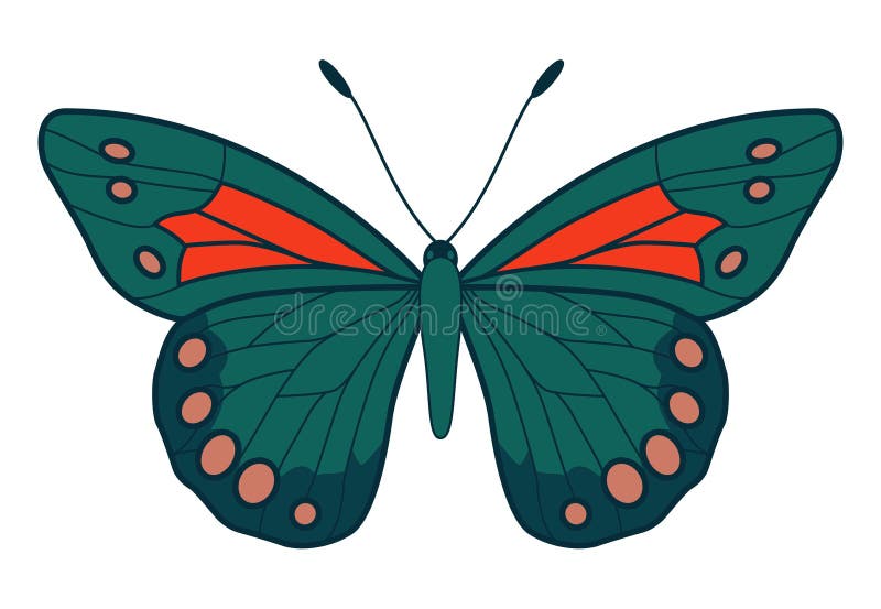 Butterfly Simple Icon on White. Vector Illustration. EPS10 Stock Vector ...