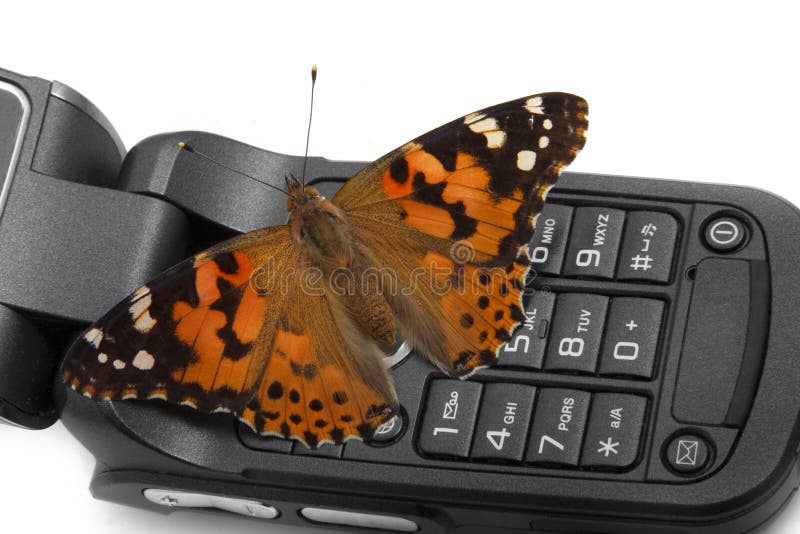 Butterfly Sitting on a Mobile Phone Stock Photo - Image of classic ...