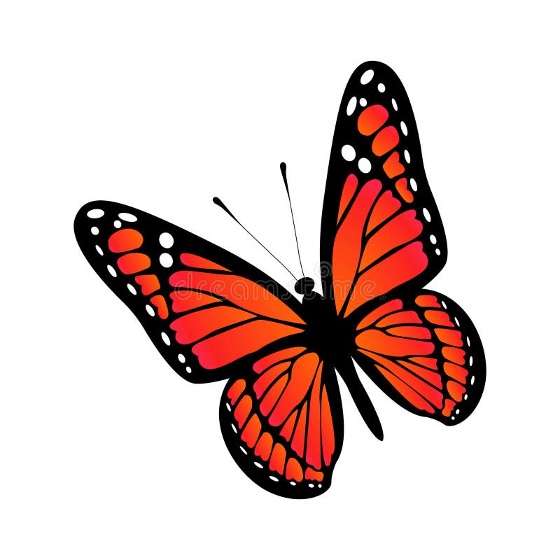 Butterfly Sprite Wing Sitting on a Surface Stock Illustration ...