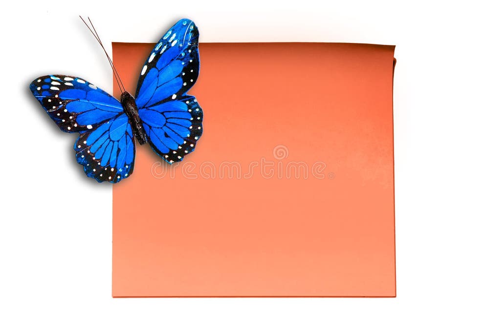 Butterfly on sticky note stock image. Image of information - 8738883