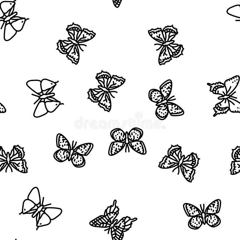 Butterfly Summer Spring Insect Vector Seamless Pattern Stock Vector ...