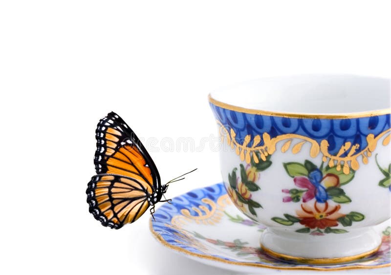 Monarch butterfly up-close stock image. Image of summer - 225165