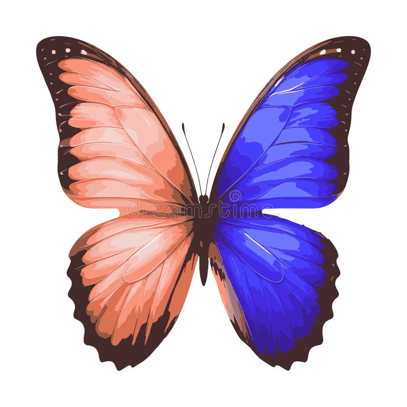 Butterfly Sprite Wing Sitting on a Surface Stock Illustration ...
