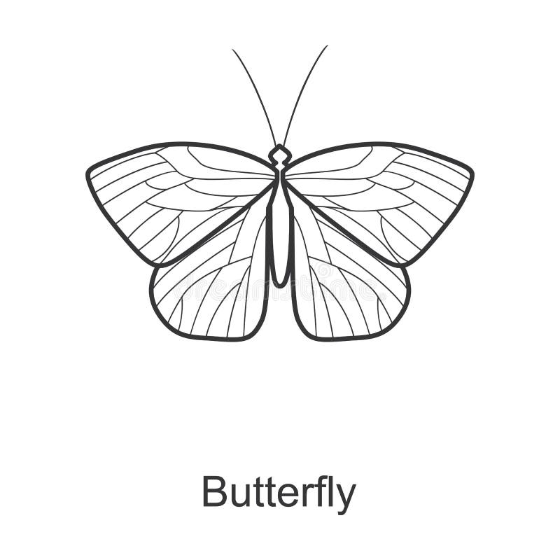 Butterfly Vector Icon.Line Vector Icon Isolated on White Background ...