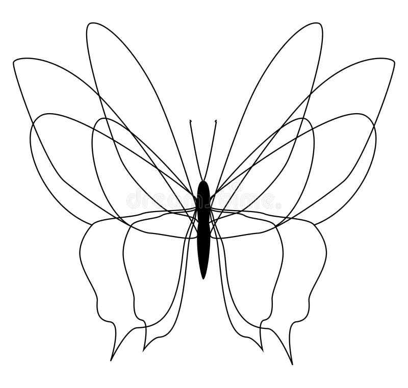 Butterfly. Vector Minimal Graphic Drawing of a Butterfly with a Contour ...