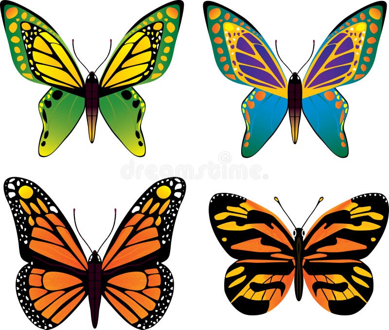 Monarch Butterfly Vector Illustration Stock Vector - Illustration of ... Monarch Butterfly Vector Illustration Stock Vector - Illustration of ...