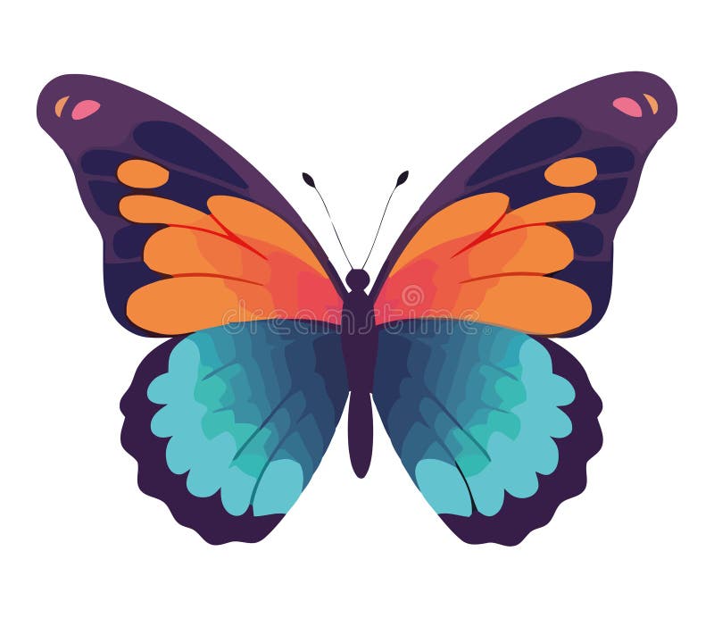 Butterfly in Vibrant Colors, Flying Free Stock Vector - Illustration of ...