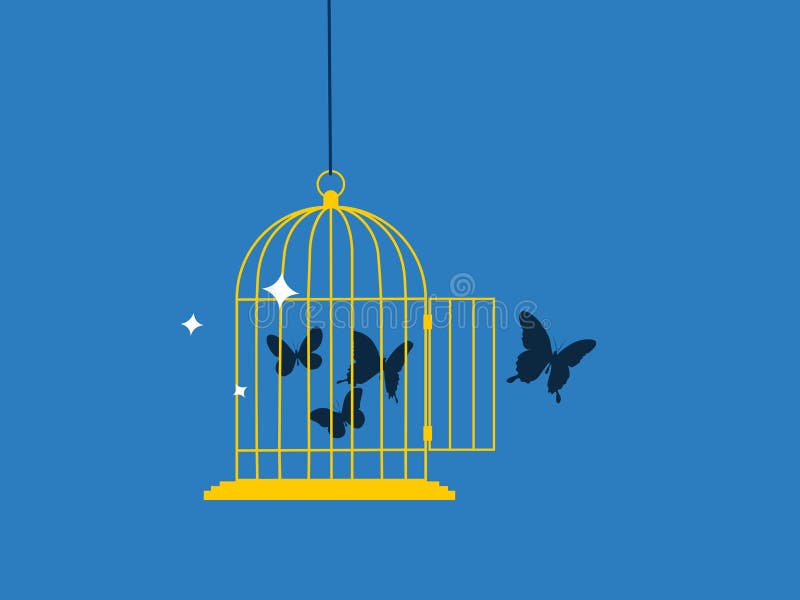 Butterfly Was Released from the Cage. the Concept of Freedom and ...