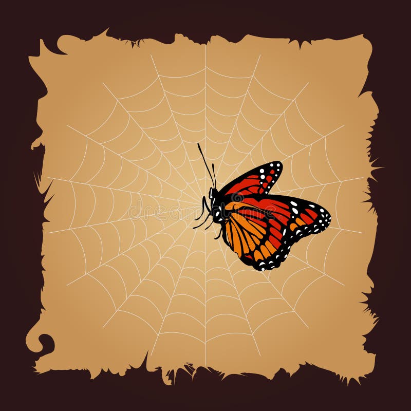 Butterfly in the web. stock vector. Illustration of vector - 90068240