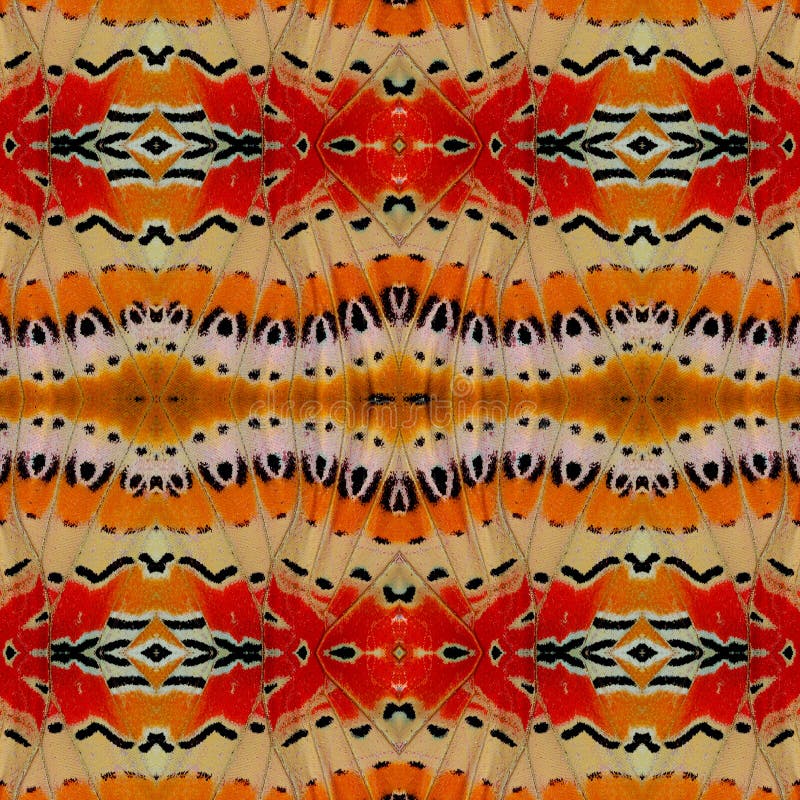 Butterfly Wing Skin Pattern with Great Texture for Pattern Design Stock ...