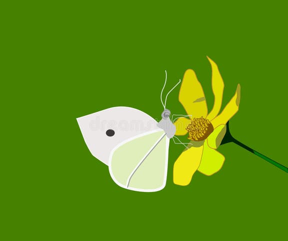 Large Yellow Insect Stock Illustrations – 8,997 Large Yellow Insect ...